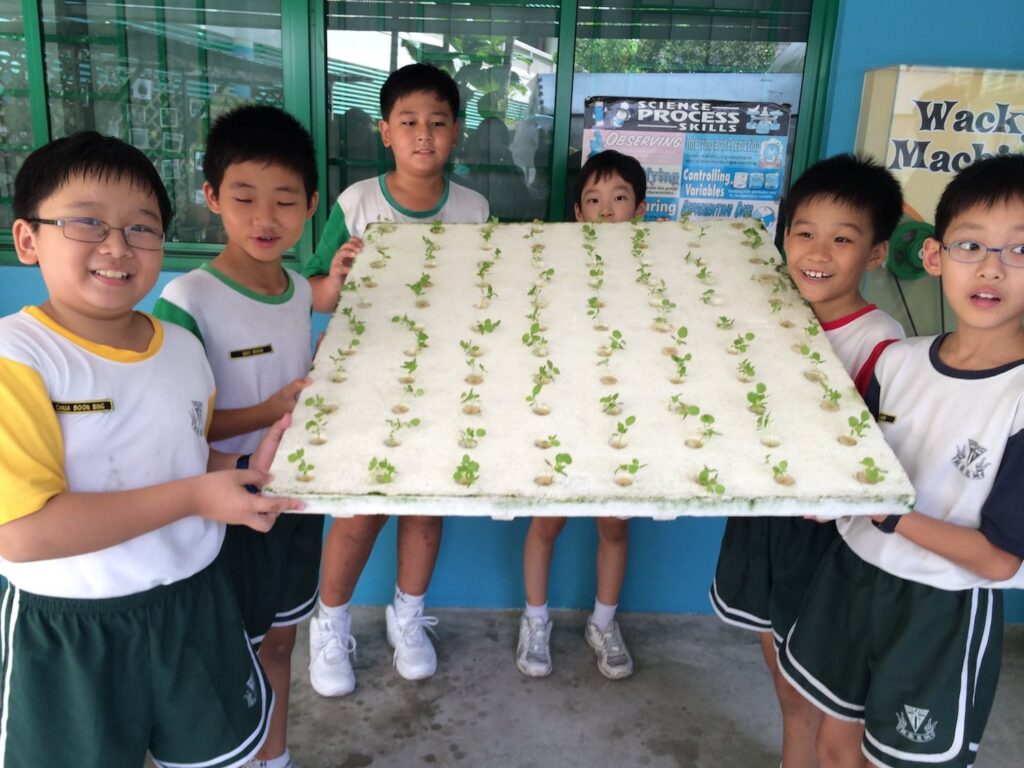 新加坡公教中學(小学) - Eistudy.com