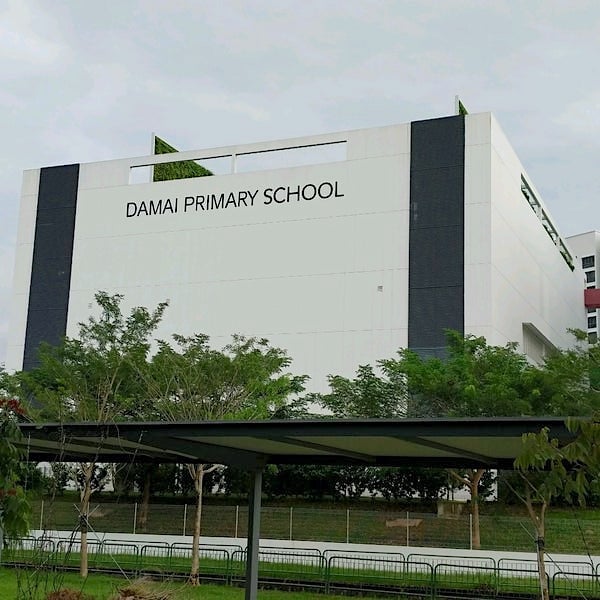 达迈小学 - Eistudy.com