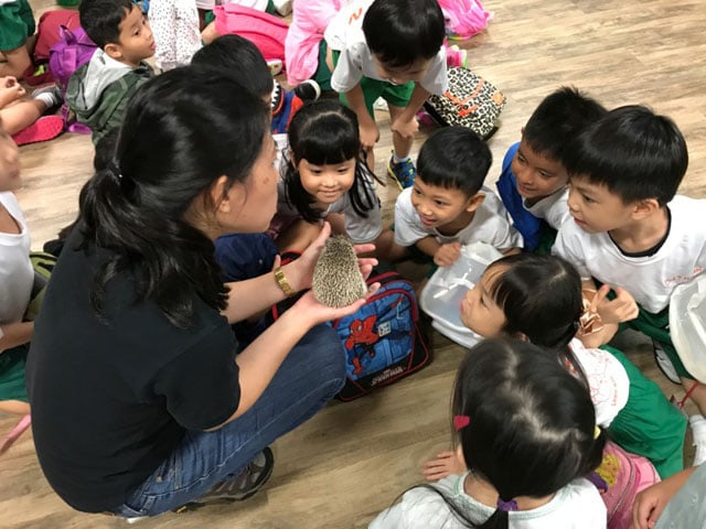 多元智能的学前教育 - Eistudy.com